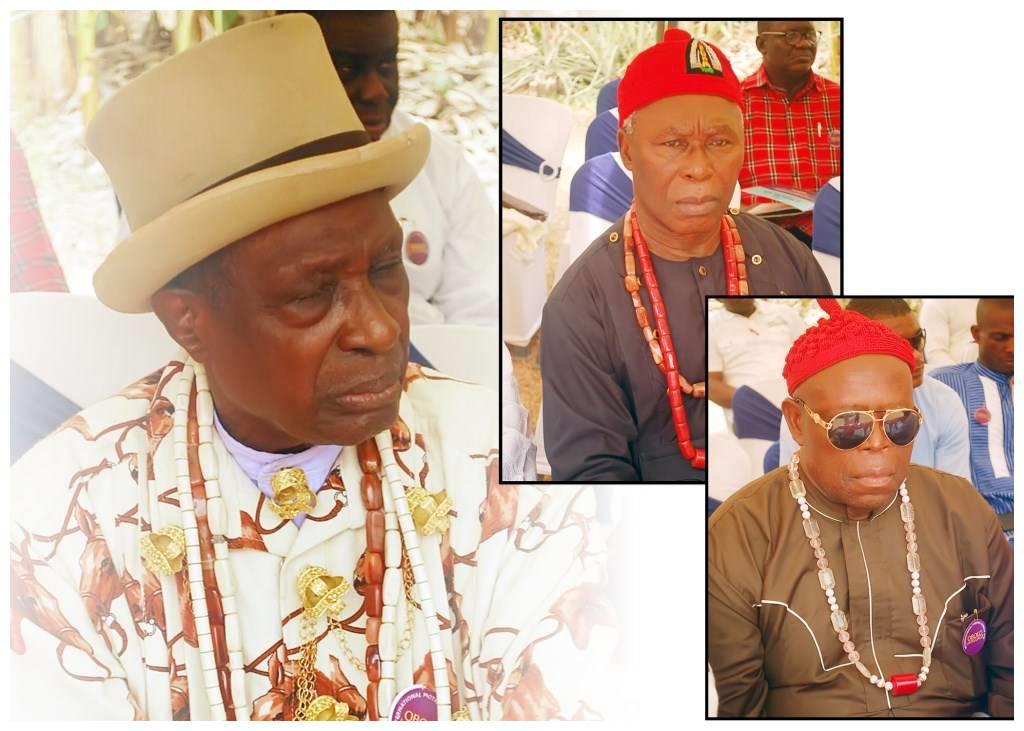 Obolo Day Celebration 1 | Ida Obolo